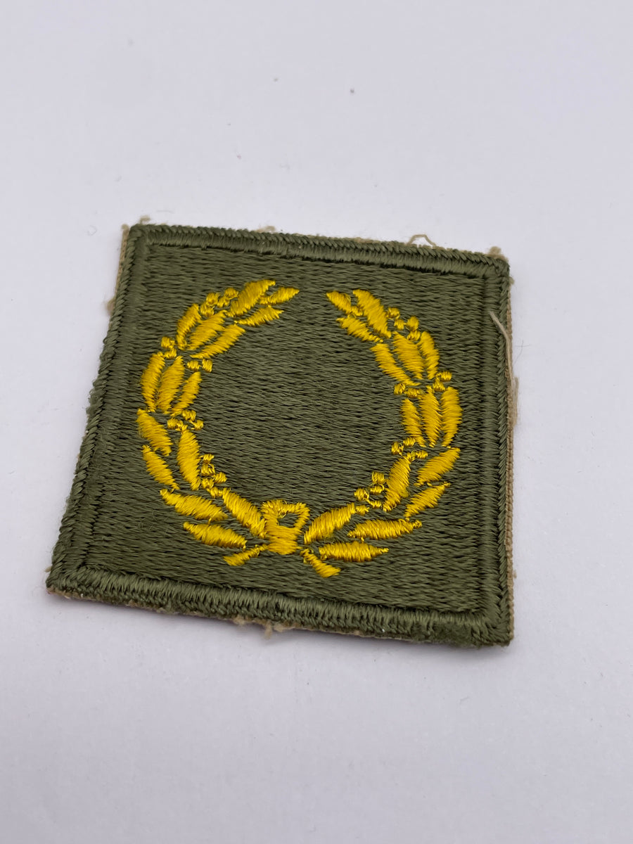 Original American Army Meritorious Unit Citation Patch – Hornbeam Militaria